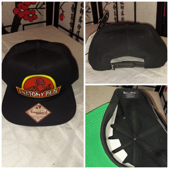 Bioworld | Accessories | Rick And Morty Anatomy Park Snapback Hat ...